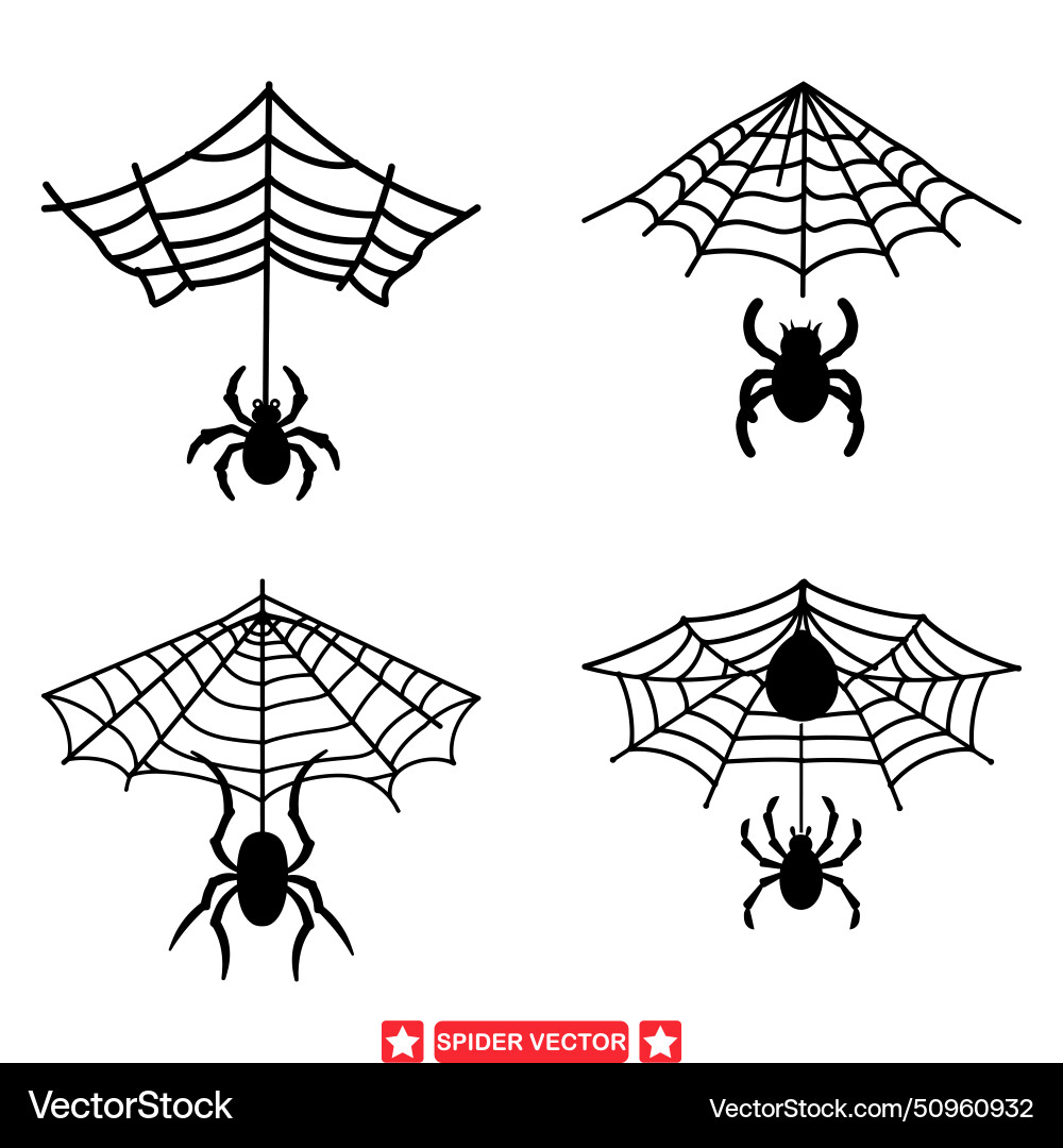 Gothic spider graphics dark and intricate Vector Image