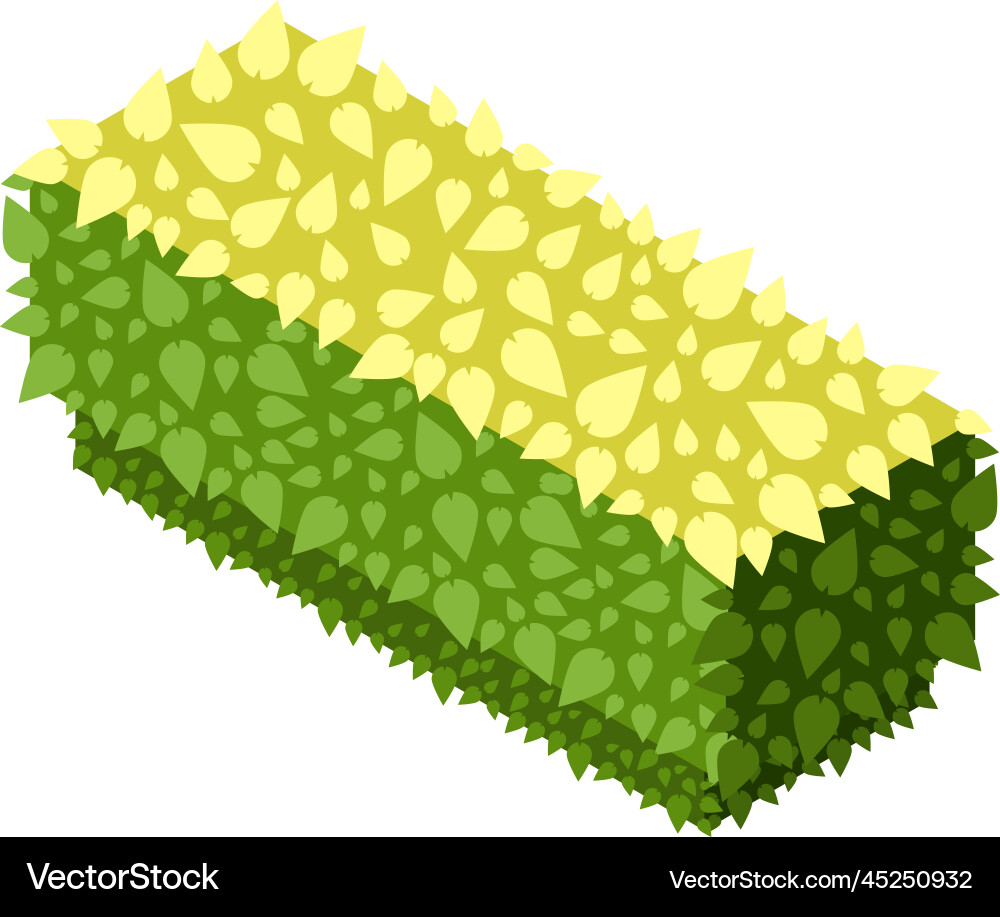 Hedge isometric icon Royalty Free Vector Image