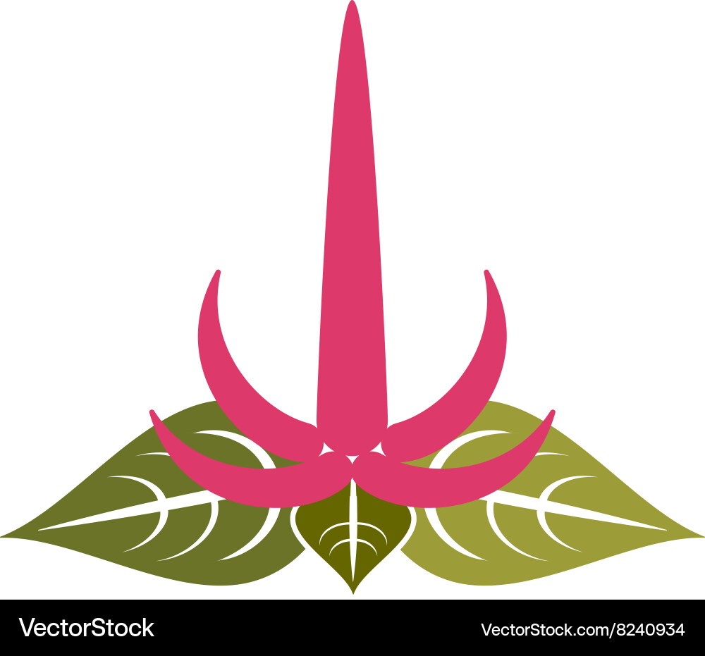 Amaranth-flower Royalty Free Vector Image - VectorStock