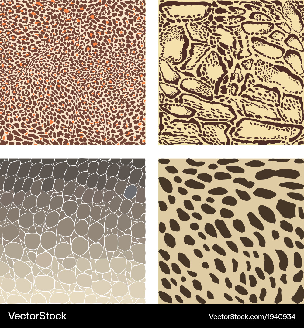 Animal color background Royalty Free Vector Image