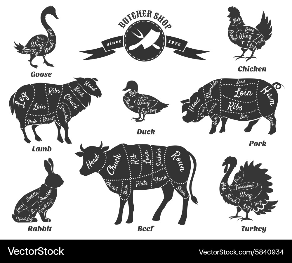 Butcher Shop Animal Charts Royalty Free Vector Image