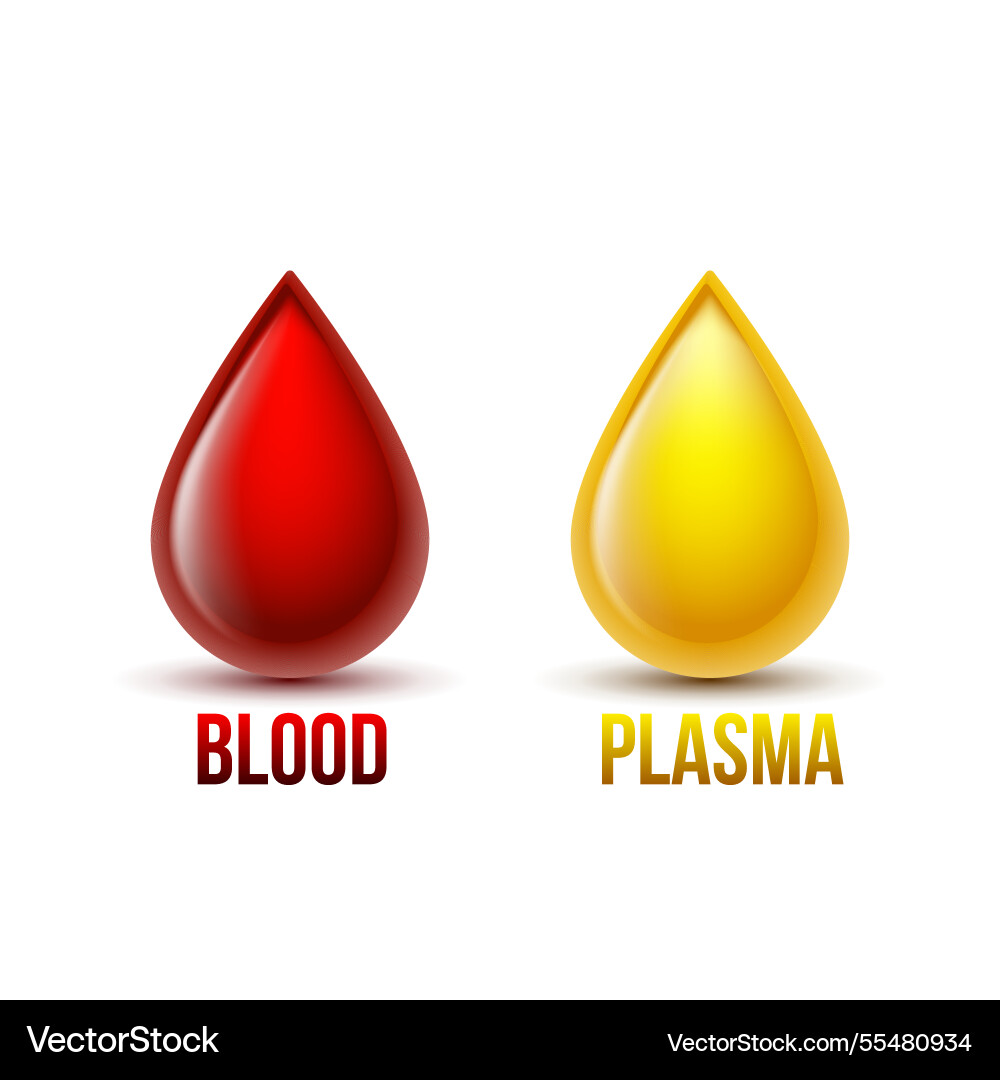Drop of blood and plasma Royalty Free Vector Image