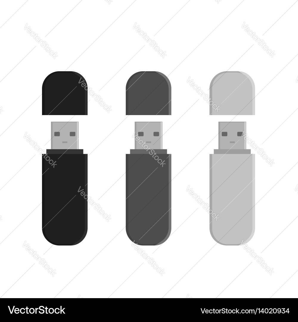 Flash drive usb memory sticks Royalty Free Vector Image