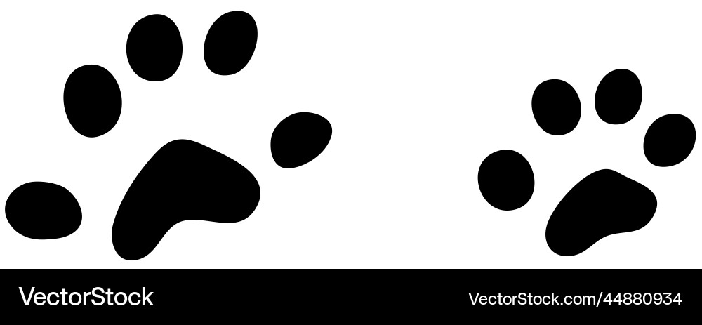 Mouse track rat foot print paw silhouette Vector Image