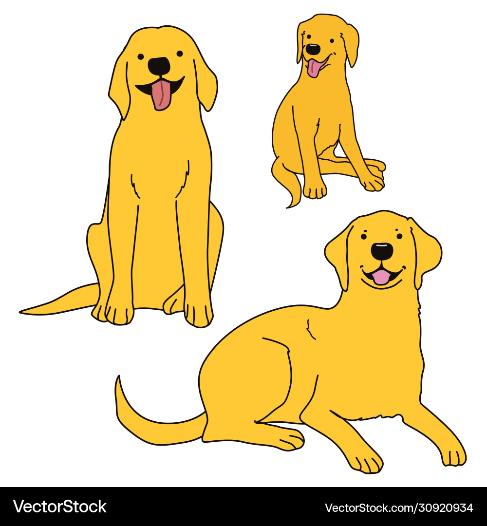 Retriever dogs Royalty Free Vector Image - VectorStock