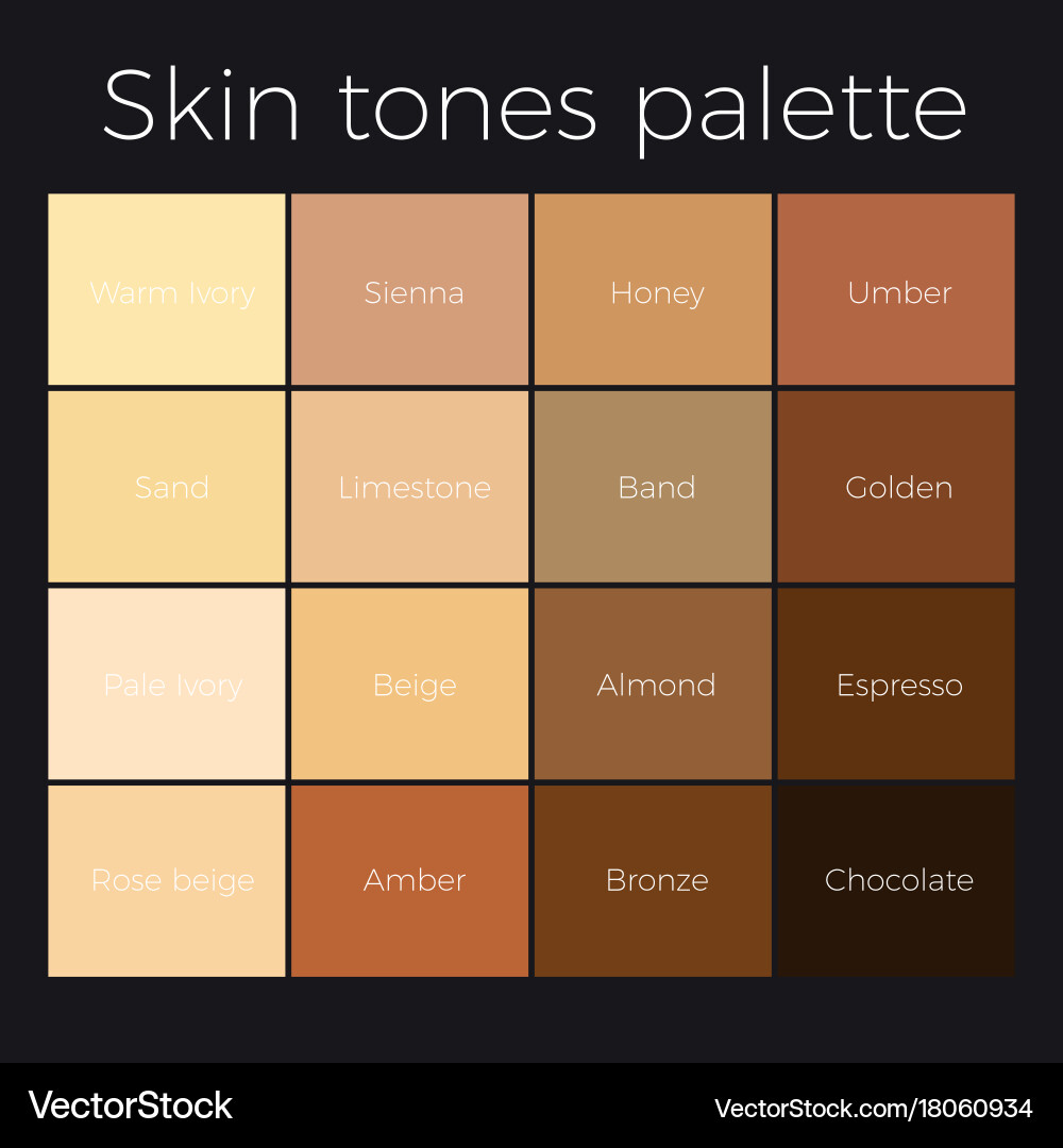 Skin tones palette Royalty Free Vector Image - VectorStock Skin tones palette Royalty Free Vector Image - VectorStock