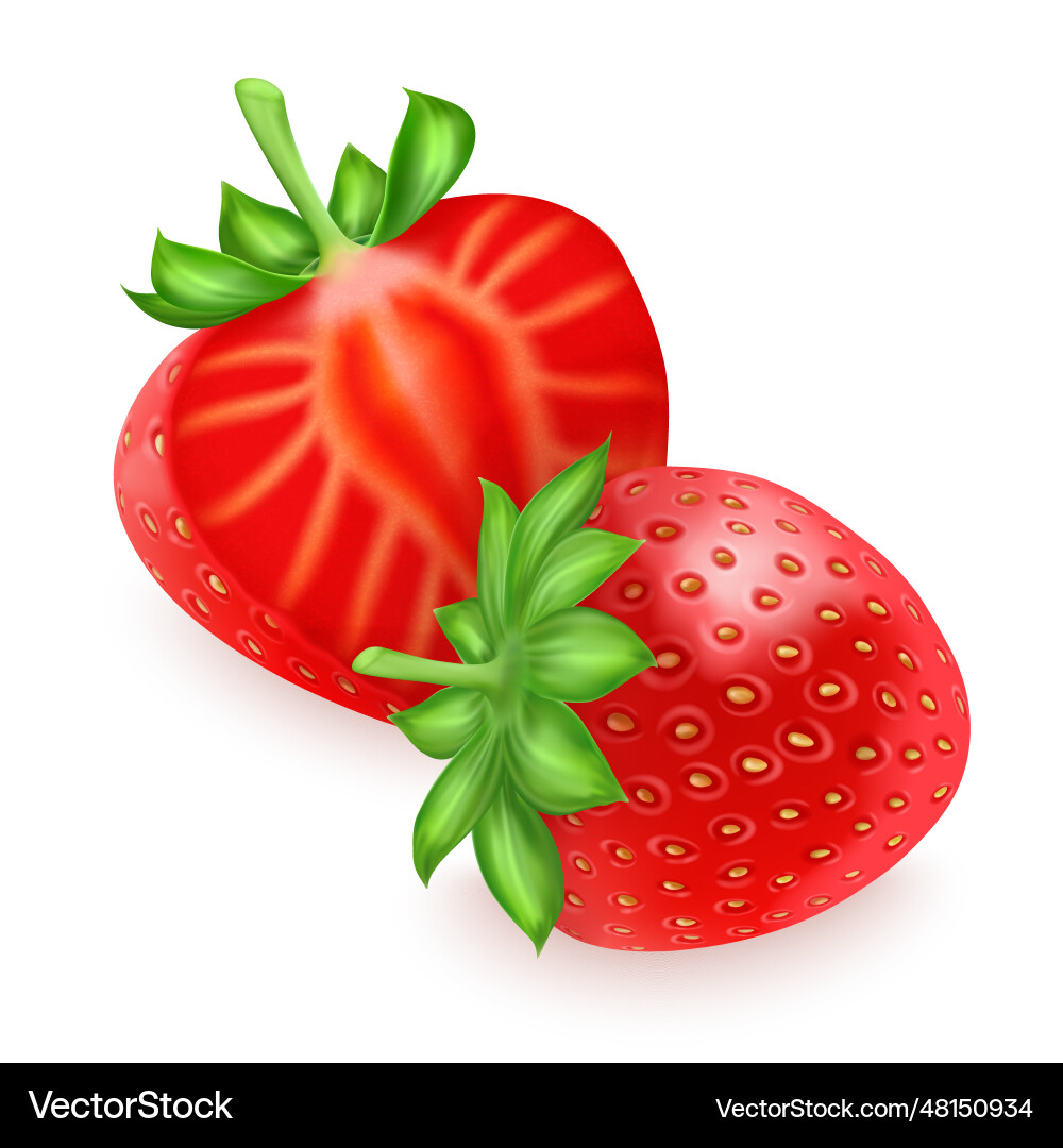 Strawberry realistic whole and half red berry Vector Image