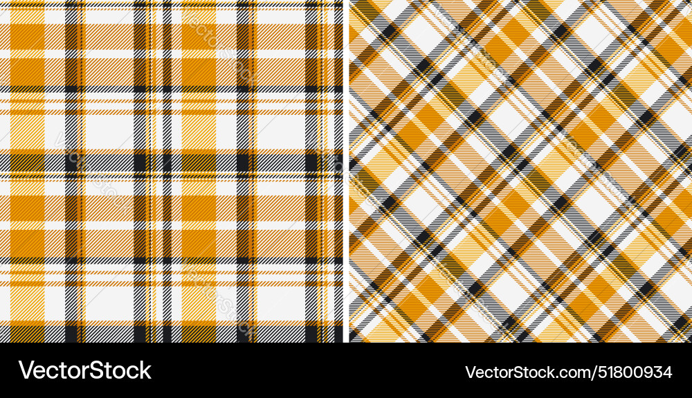 Texture background fabric of pattern plaid Vector Image