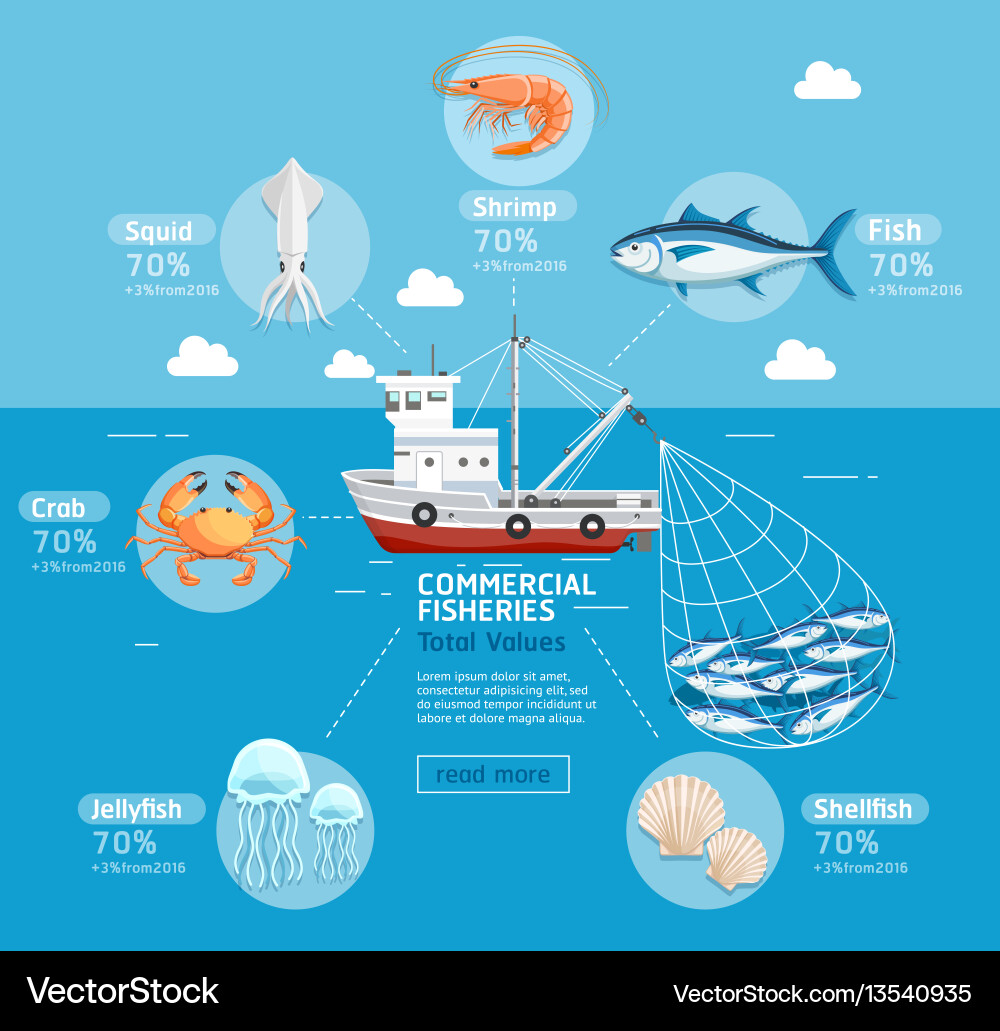 Fishing Business Infographic Royalty Free Vector Image