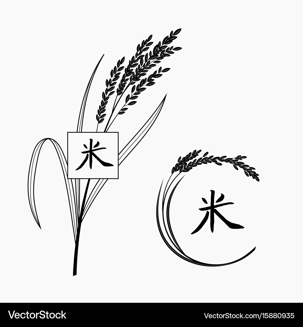 Rice Plant with Chinese Character Royalty Free Vector Image