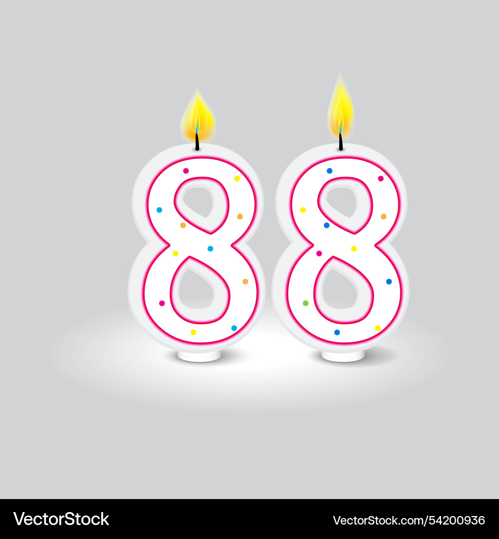 Birthday candles icon number eighty eight Vector Image