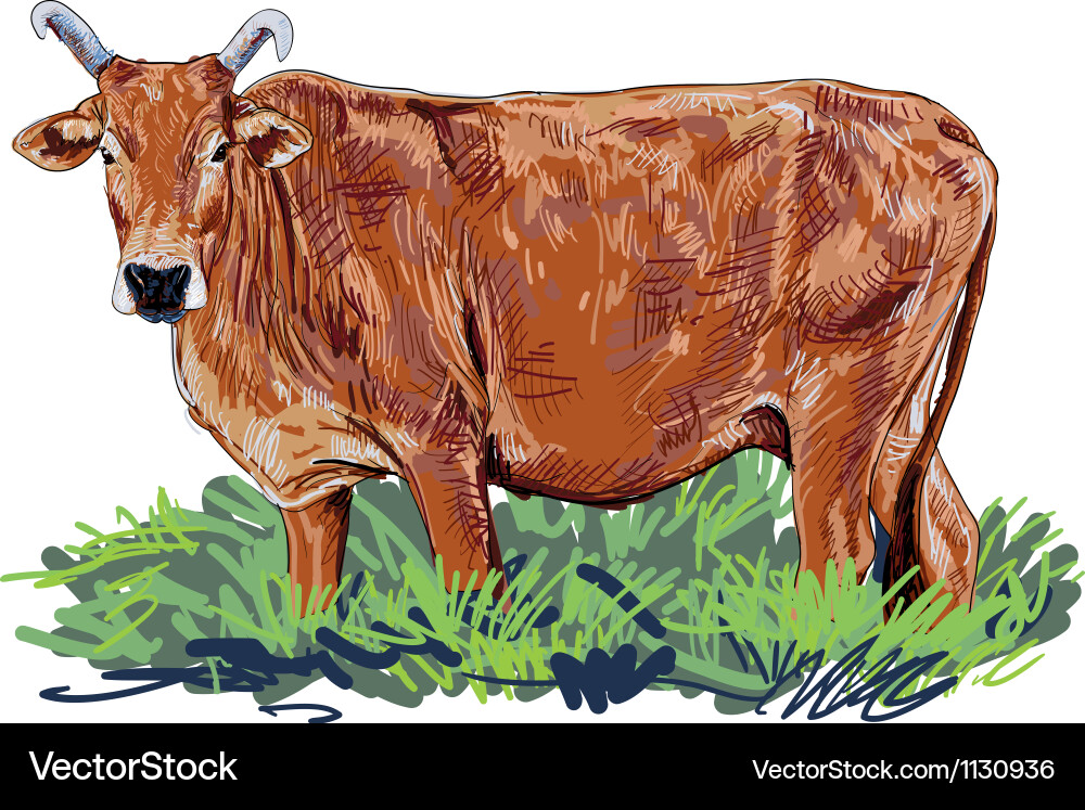 Brown Cow in Grassland Royalty Free Vector Image