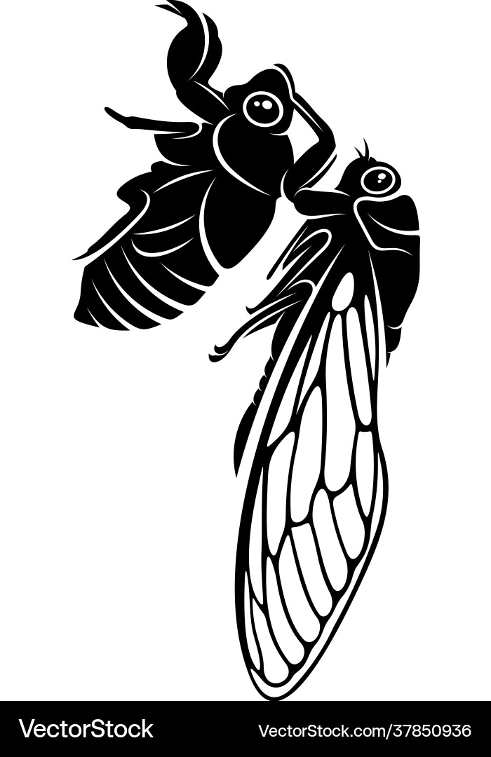Cicada Creative Logo Concept Royalty Free Vector Image
