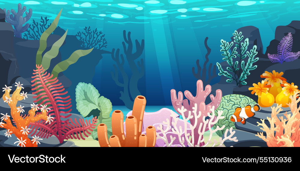 Underwater background undersea floor coral sea Vector Image