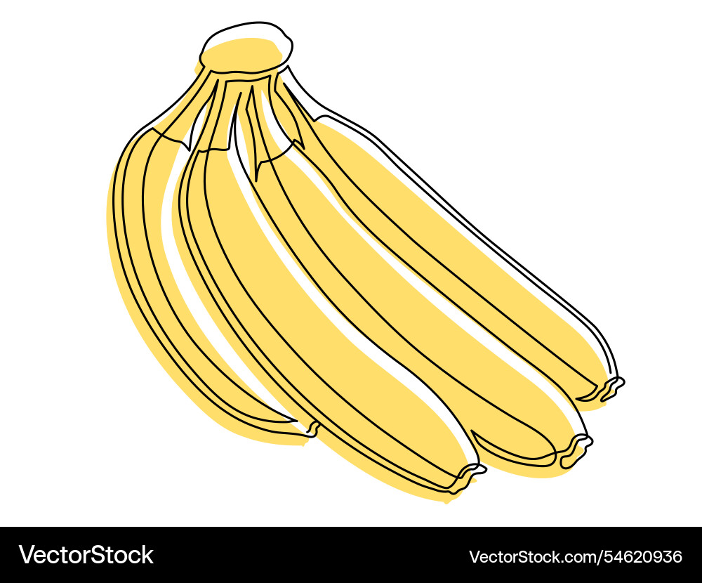 Yellow banana branch line Royalty Free Vector Image