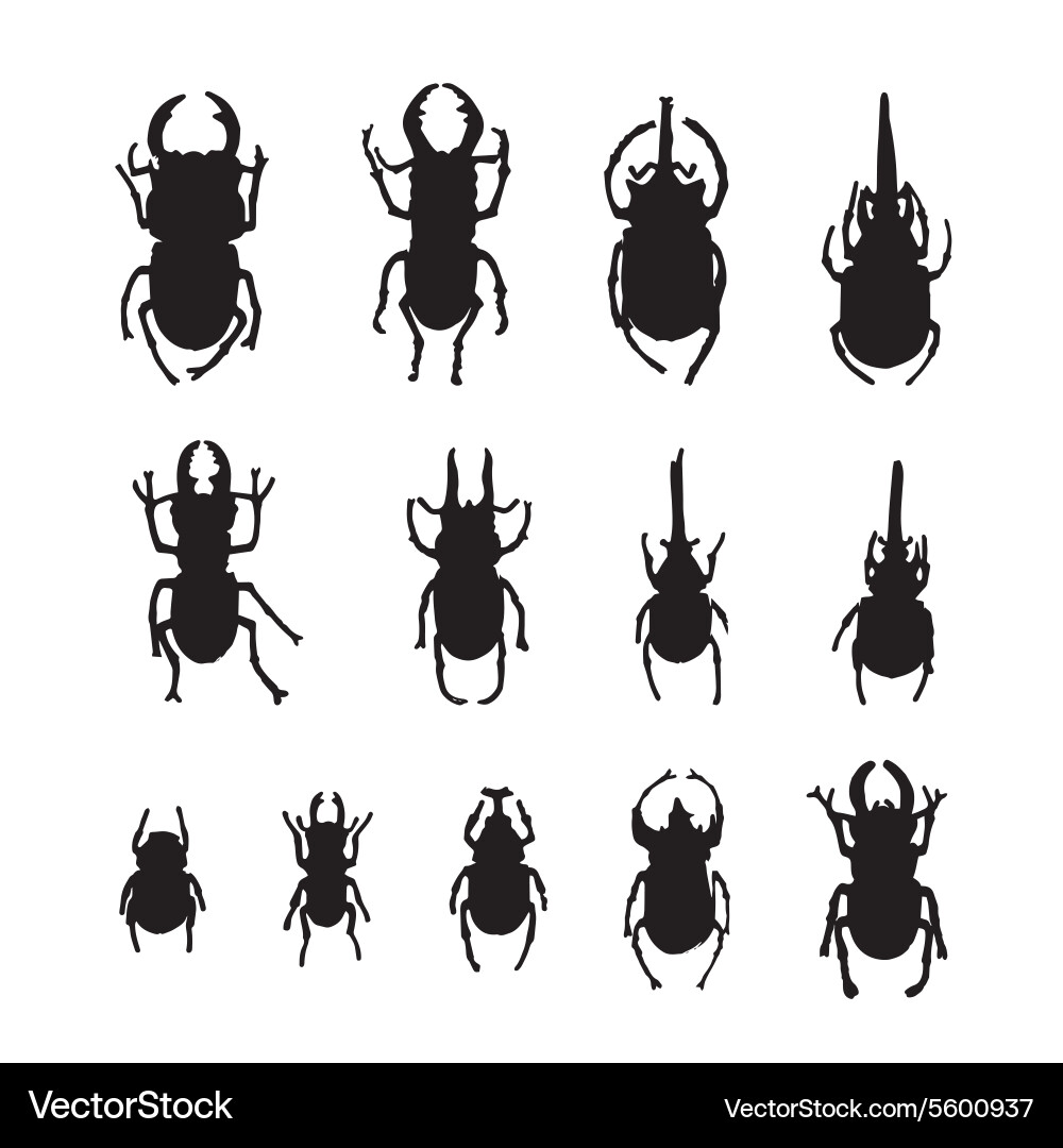 Insects Royalty Free Vector Image - VectorStock