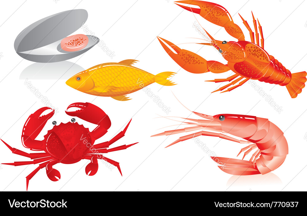Fiddler Crab Vector Images (over 120)