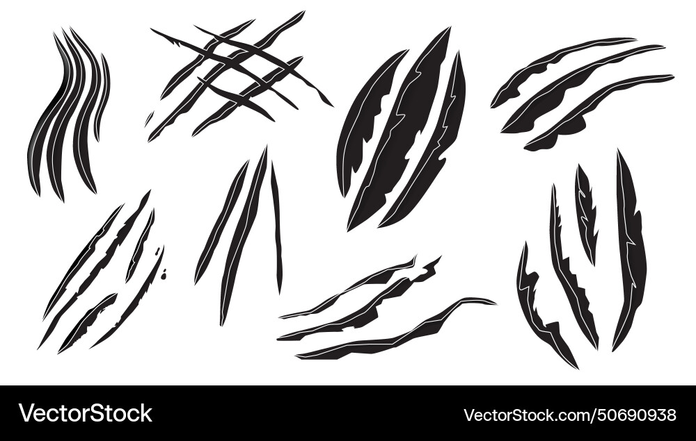 Black claw scratch marks set isolated Royalty Free Vector