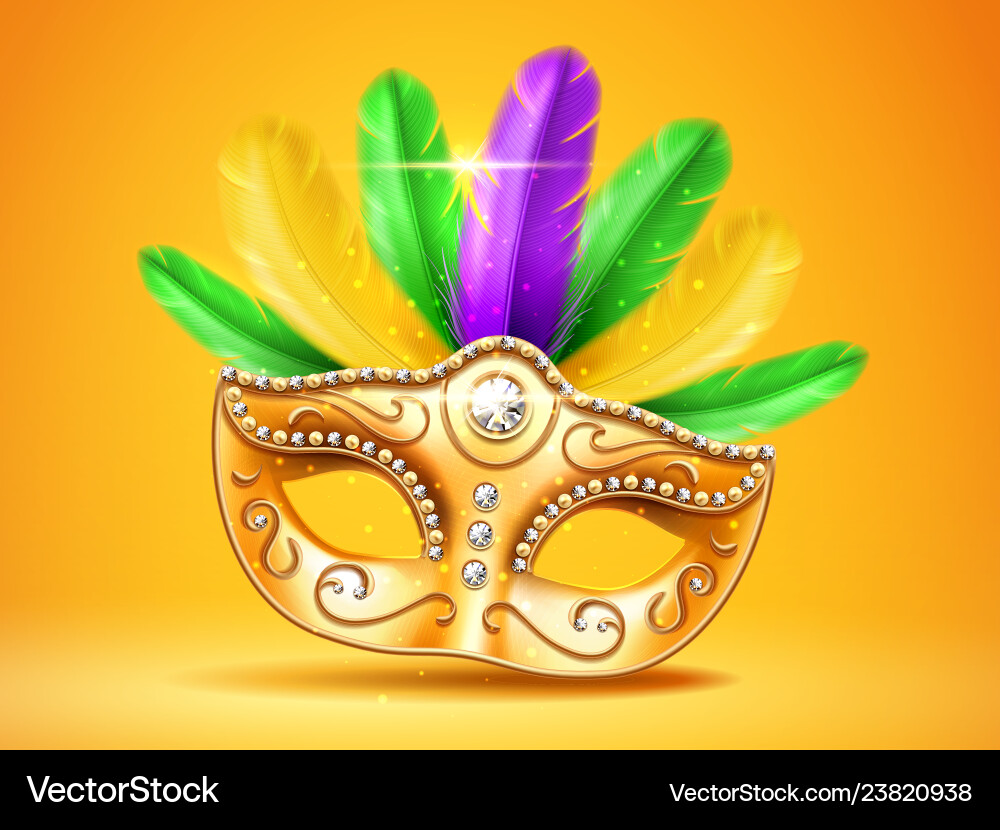 Colorful feather masquerade carnivalfestive mask Vector Image