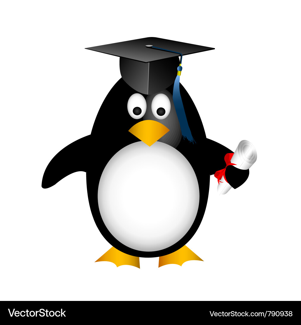 Graduation penguin Royalty Free Vector Image - VectorStock