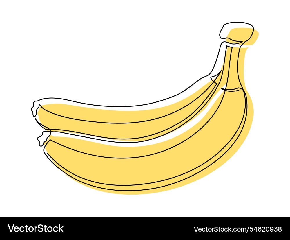 Yellow banana branch line Royalty Free Vector Image