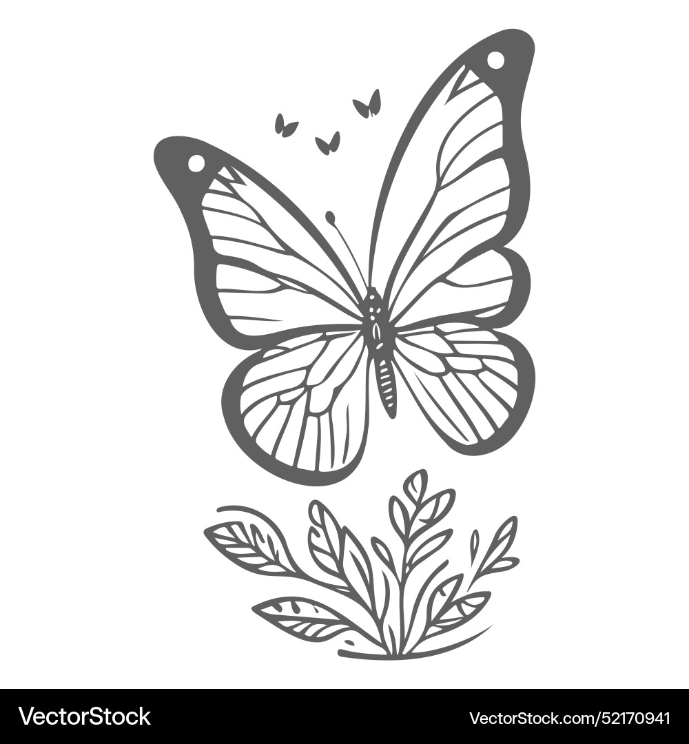 Animal butterfly sketch grey Royalty Free Vector Image