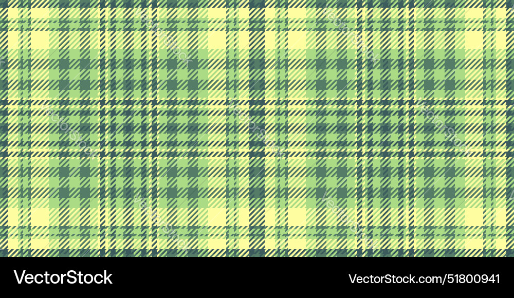 Blanket seamless plaid texture new york textile Vector Image