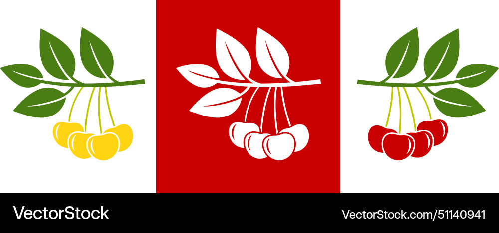 Cherry branch Royalty Free Vector Image - VectorStock