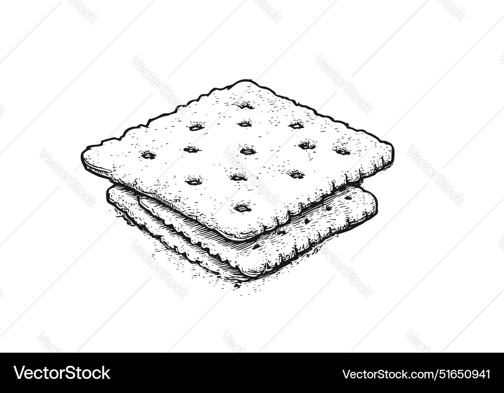 Cracker crispy pop art Royalty Free Vector Image
