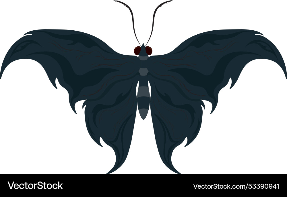 Dark colors gloomy butterfly Royalty Free Vector Image