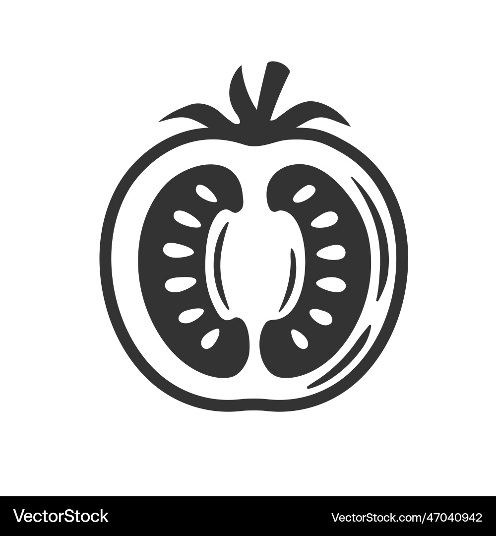 Vintage tomato isolated on white background Vector Image