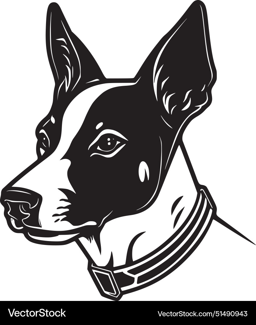 Basenji - black and white Royalty Free Vector Image