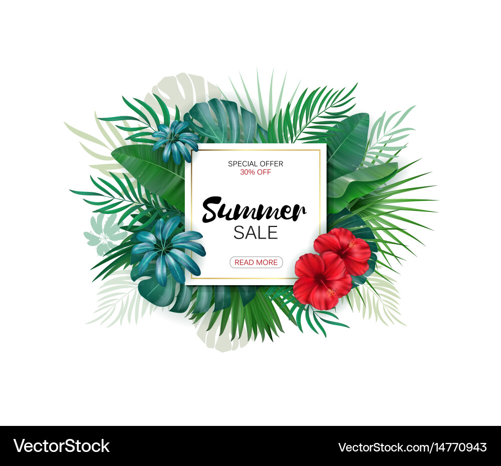 Tropical paradise label over background Royalty Free Vector