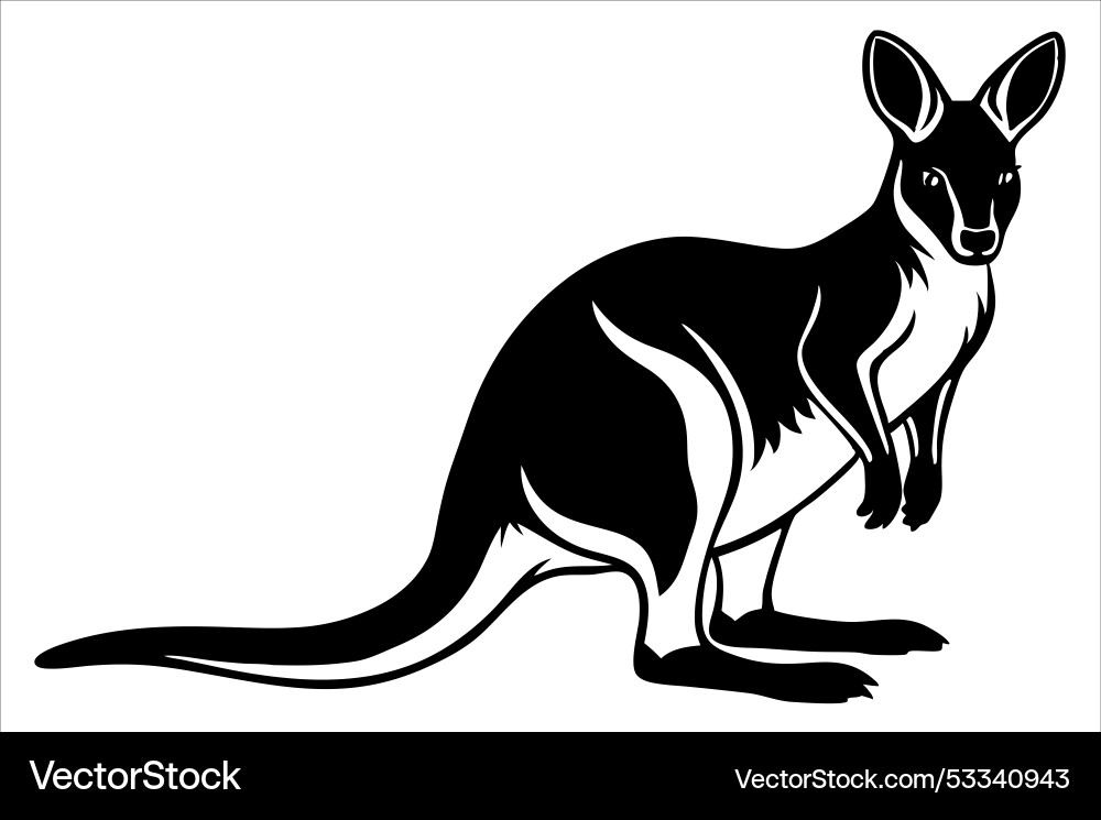 Wallaby high quality wildlife Royalty Free Vector Image