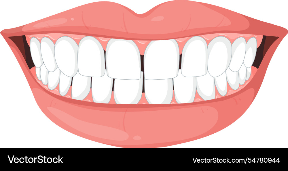 A bright healthy human smile Royalty Free Vector Image
