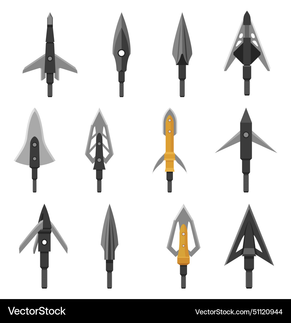 Arrowheads different shape for archery weapon Vector Image