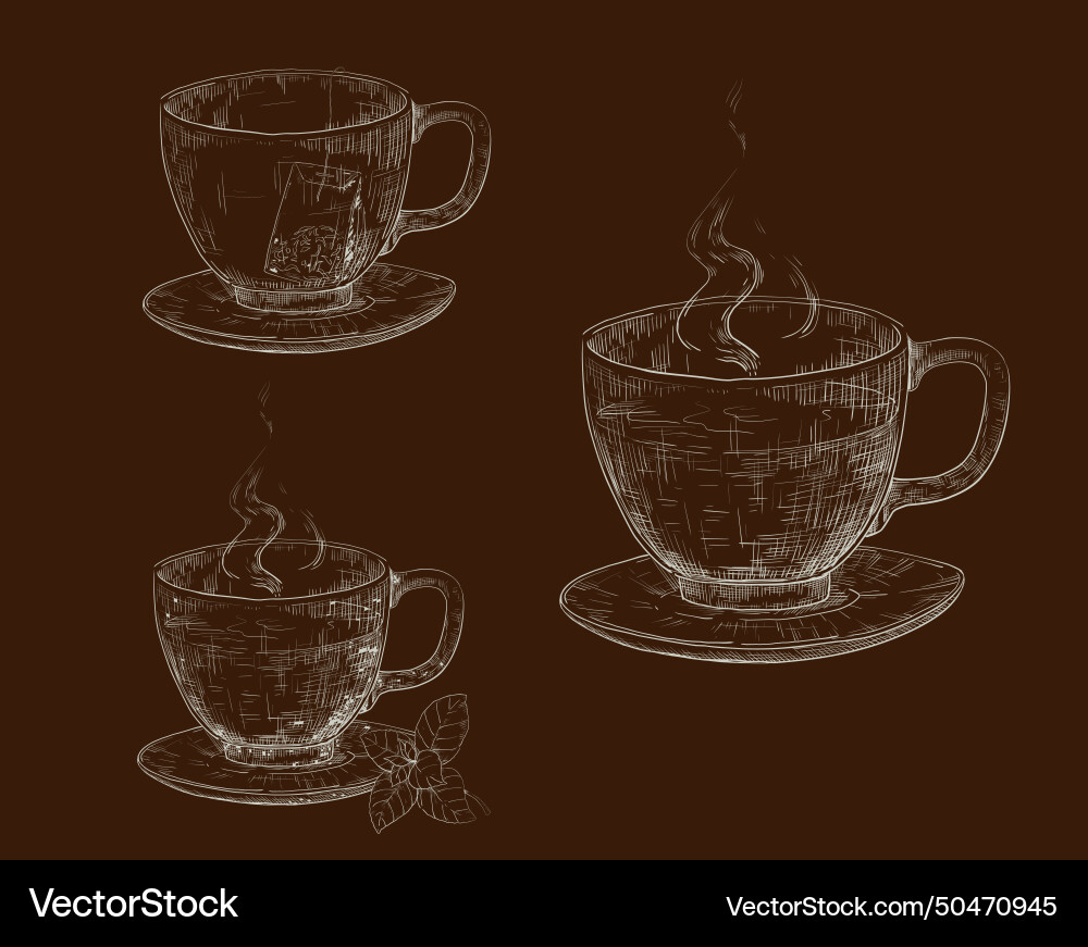Tea cup sketch style drawing porcelain mug Vector Image