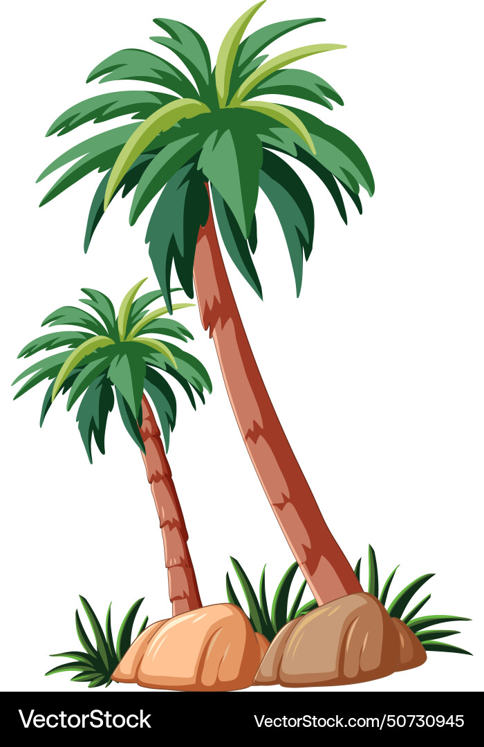Two palm trees on rocks Royalty Free Vector Image