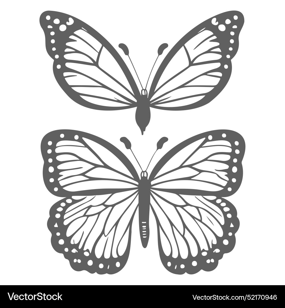 Animal butterfly sketch grey Royalty Free Vector Image