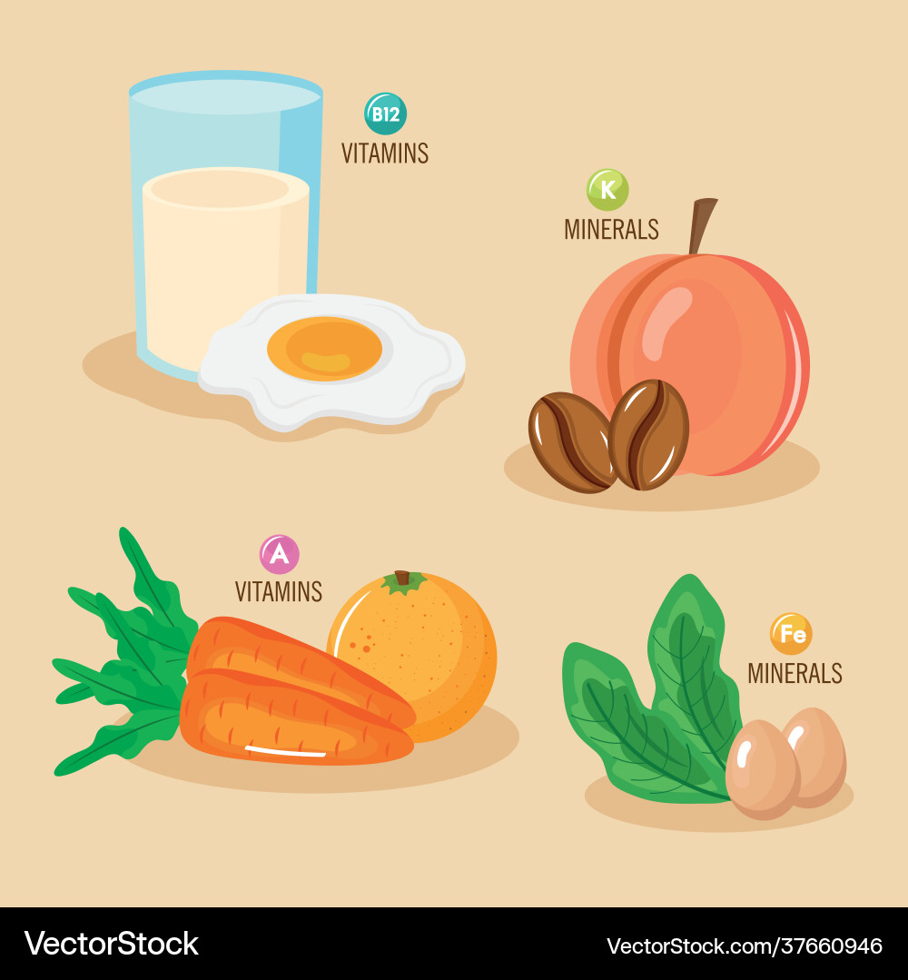 Four foods with minerals Royalty Free Vector Image