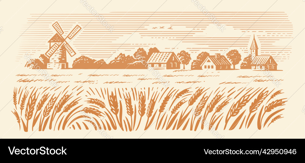 Wheat organic farming landscape farm Royalty Free Vector