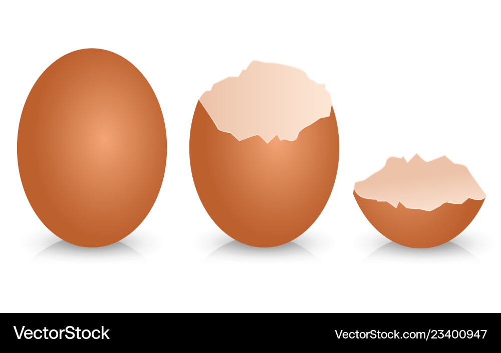 Broken egg shell design Royalty Free Vector Image