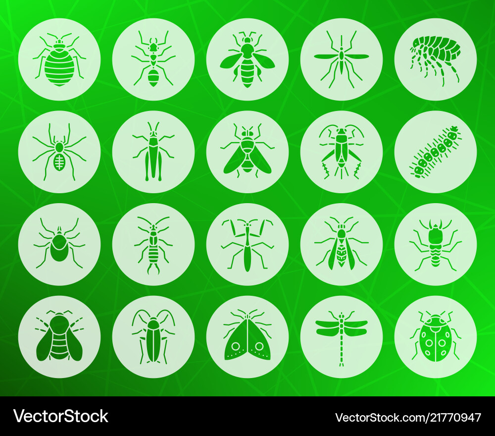 Danger insect shape carved flat icons set Vector Image