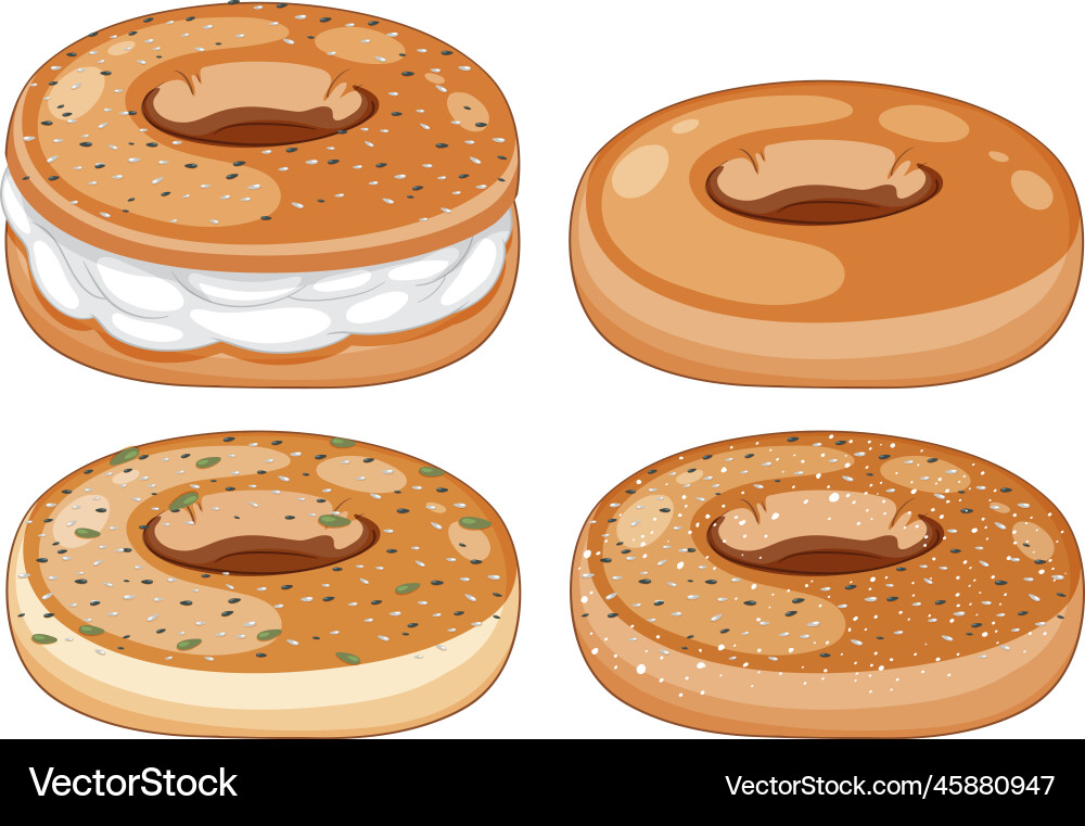Different flavors of bagel collection Royalty Free Vector