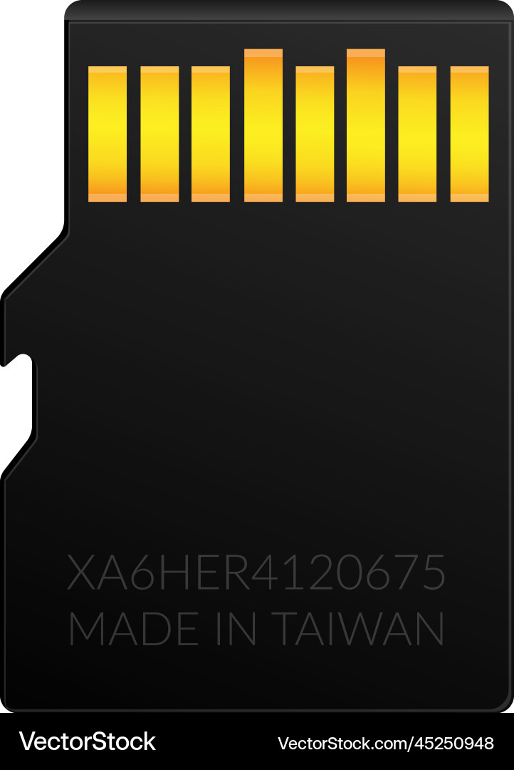 Realistic memory card Royalty Free Vector Image