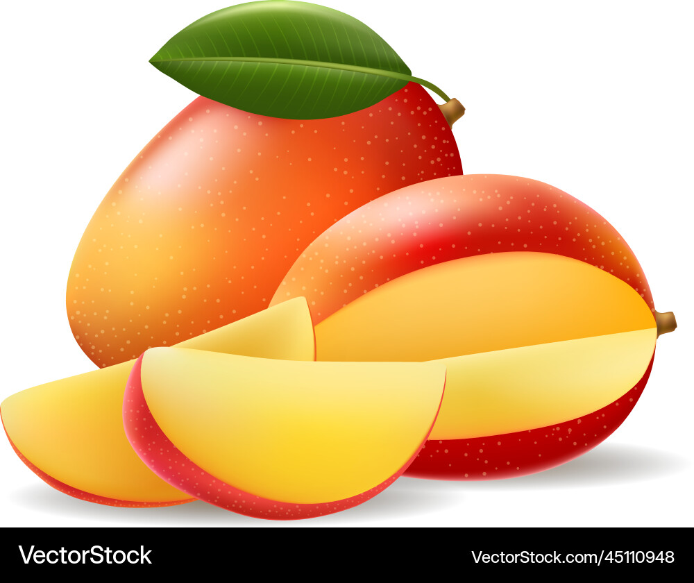 Red mango fruit and slices Royalty Free Vector Image