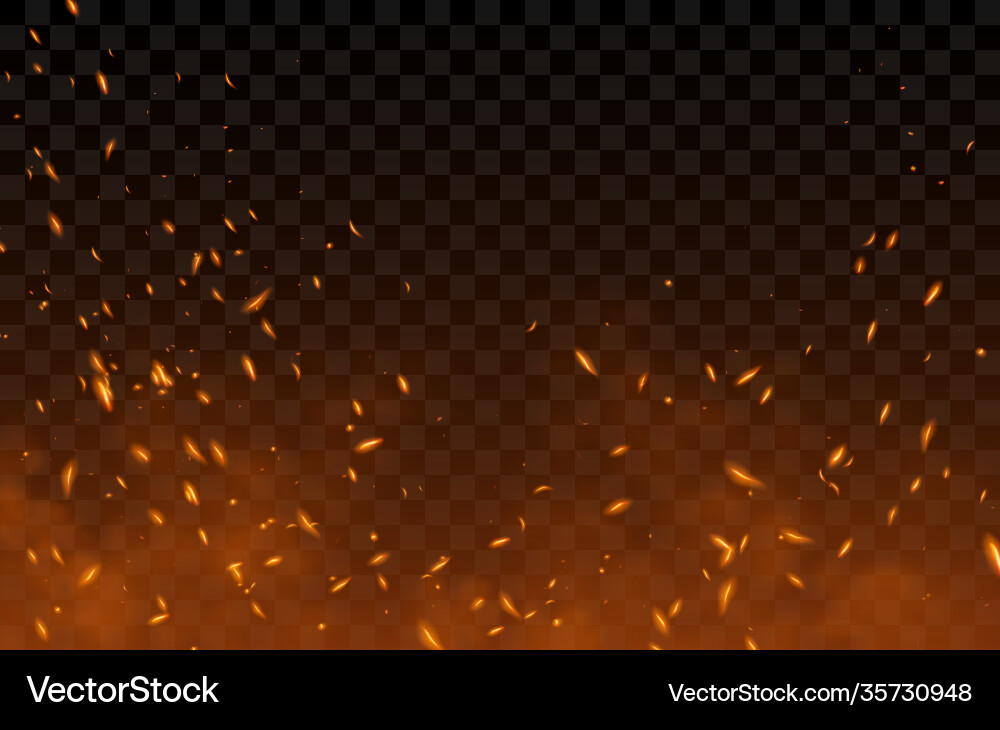 Smoke flying up sparks and fire particles Vector Image