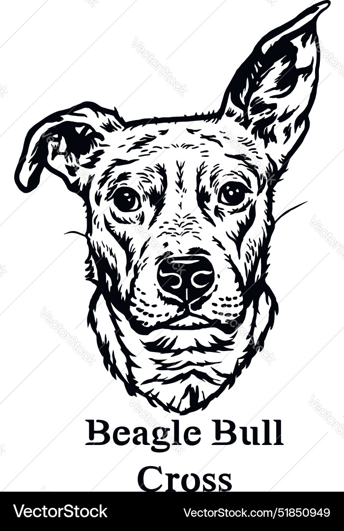 Beagle bull cross - funny dog file cut Royalty Free Vector