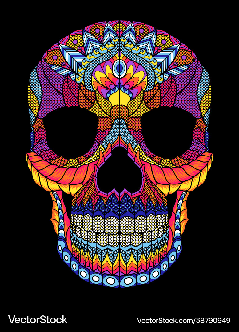 Colorful skull Royalty Free Vector Image - VectorStock