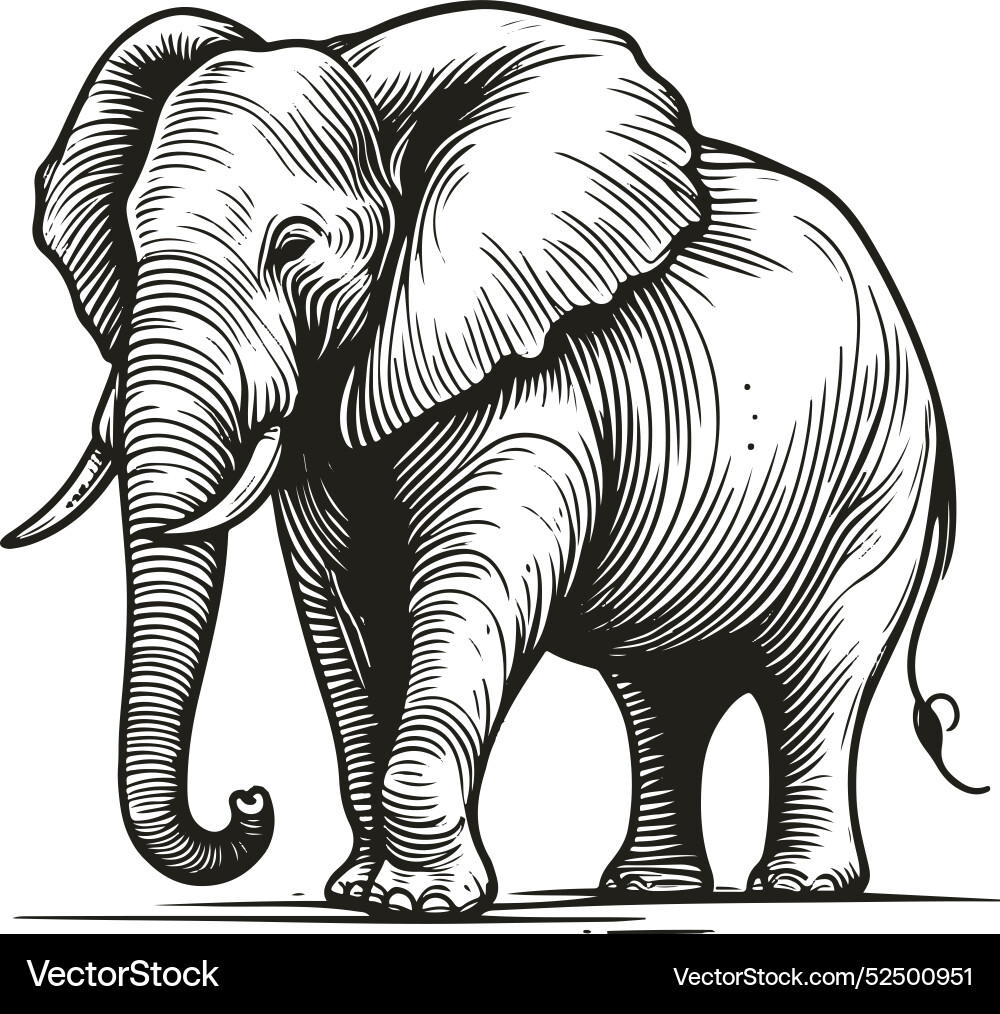 Elephants silhouette hand draw art Royalty Free Vector Image